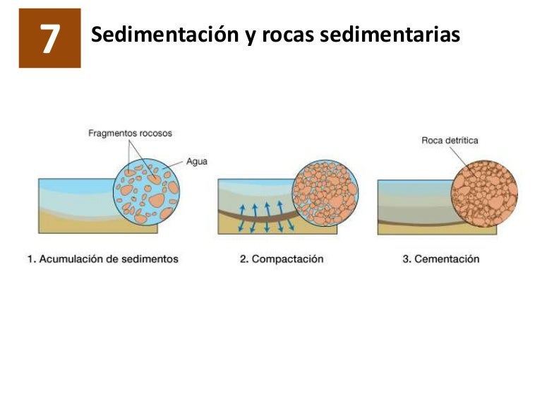 Tema 7 sedimentación y rocas sedimentarias