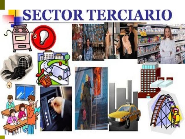 Collage sector terciario o sector servicios