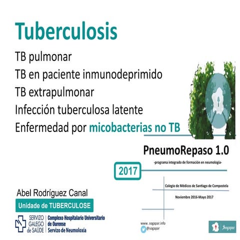 Diapositiva de Tuberculosis informació:b | PDF