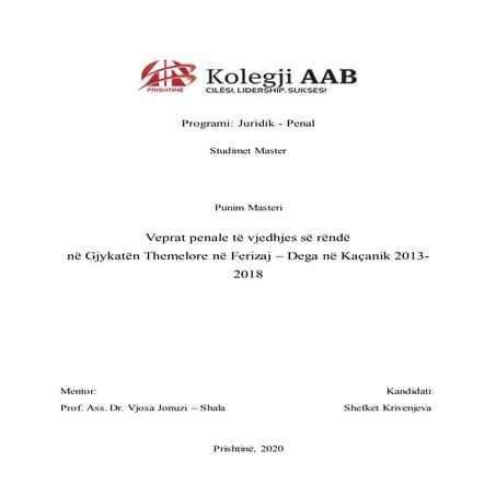 Punim Masteri | DOCX