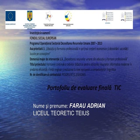 Tema finala farau adrian | PPT