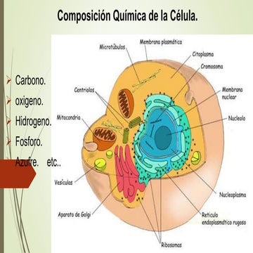 COMPOSICION QUIMICA DE LA CELULA | PPTX