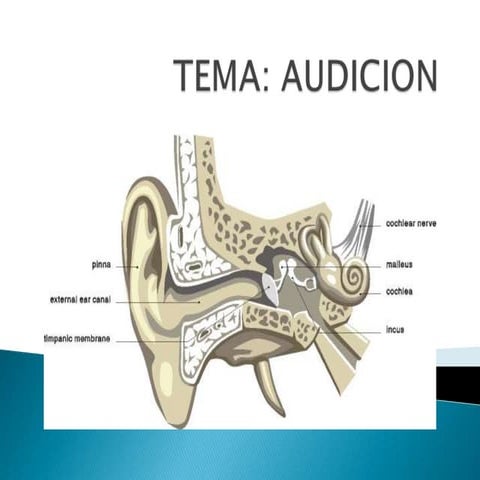 ANATOMIA DE CAJA TIMPANICA.ppt
