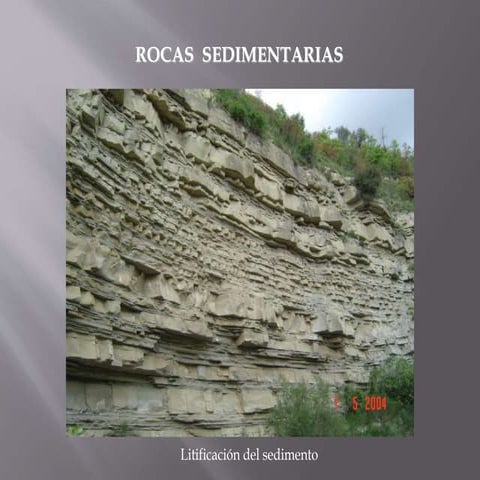 Estructuras sedimentarias | PPTX