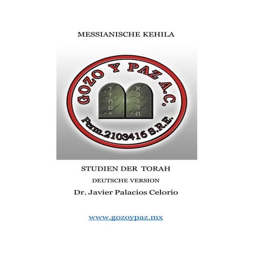 What And How to do Tevilah.pdf