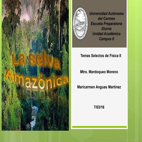 La Selva Amazónica | PPTX