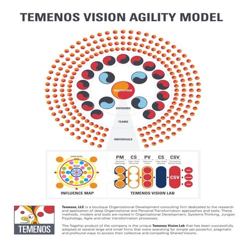Temenos Model | PDF