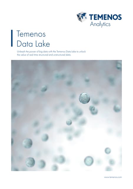 Temenos t 24 | PPT