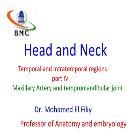 Temporal and infratemporal region part 4 | PDF