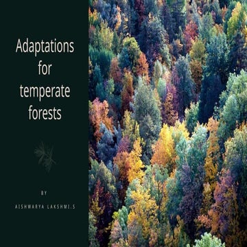 TEMPARATE FOREST.PPTX it contains information about the adaptation of ...