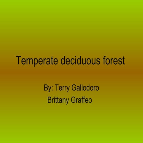 Temperate Deciduous Forest Bg, Tg | PPT
