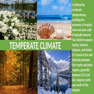 TYPES OF CLIMATE. SPECIFICALLY TEMPERATE CLIMATE | PPTX