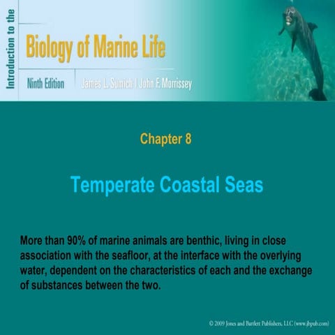 Temperate coastal seas | PPT