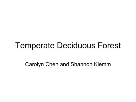 Deciduous Forest | PPT