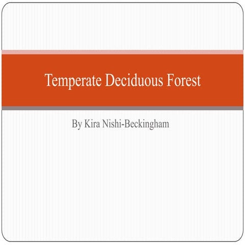 Temperate Deciduous Forest | PPTX