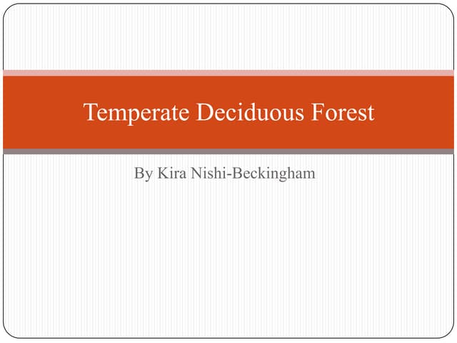Deciduous forest biotic and abiotic | PPT