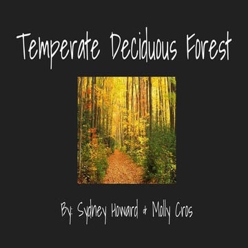 Temperate deciduous forest PERIOD 4 | PDF