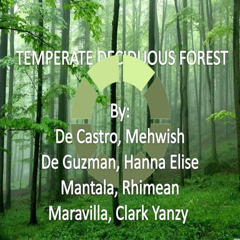 Temperate deciduous forest biome | PPTX | Geography | Science