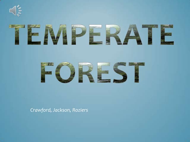 Temperate Forests | PPT