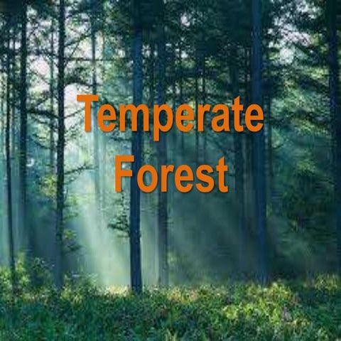 Temperate forest | PPTX