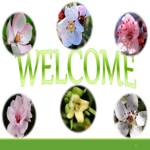 floral biology of temperate fruit crop | PPTX