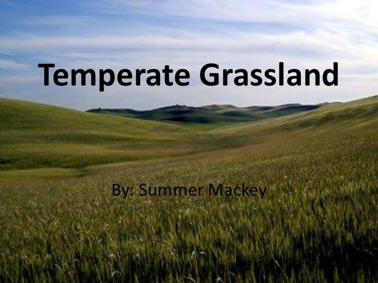 Life In A Temperate Grassland