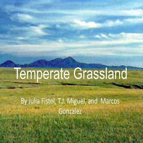 Temperate grasslands | PPTX