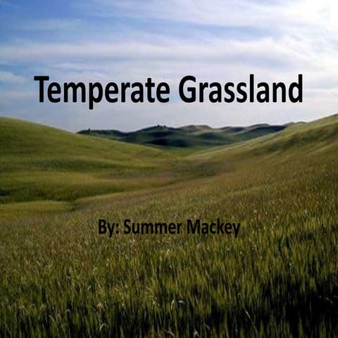 Temperate grassland2 | PPT