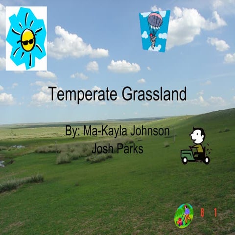 Temperate Grassland Makayla | PPT