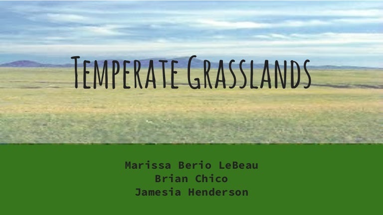 Temperate Grassland