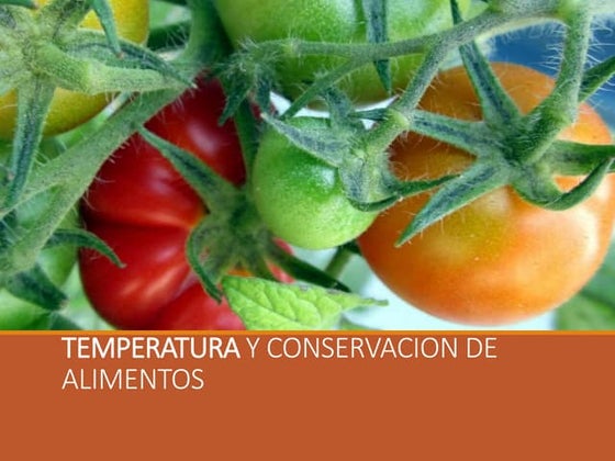 Karolarguedas presentations