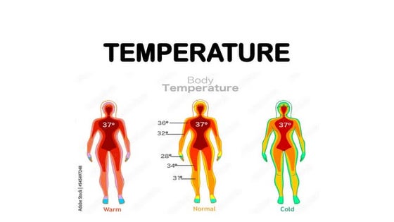 Factors affecting body temperature | PPTX | Endocrine and Metabolic ...