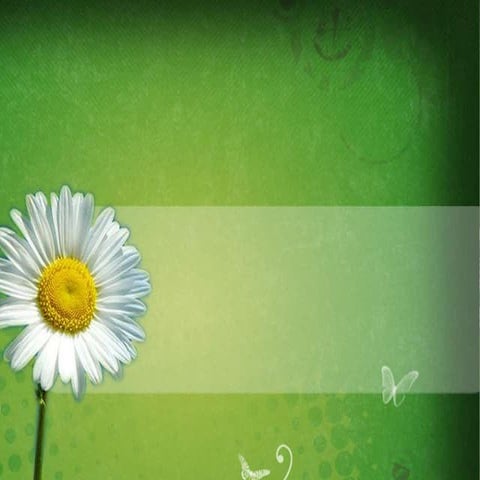 Powerpoint template | POTX