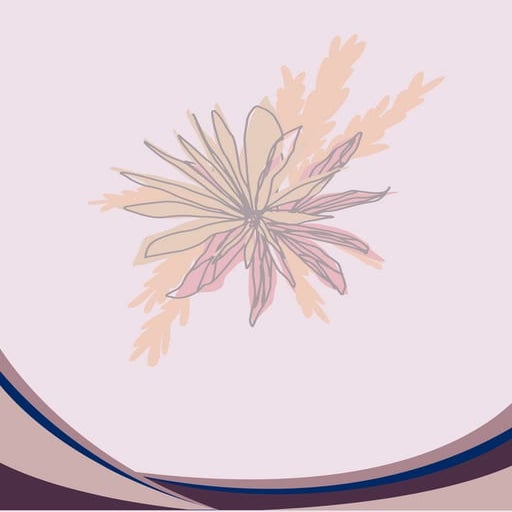 Client Template Designs with Branding for Facebook and Instagram | PDF