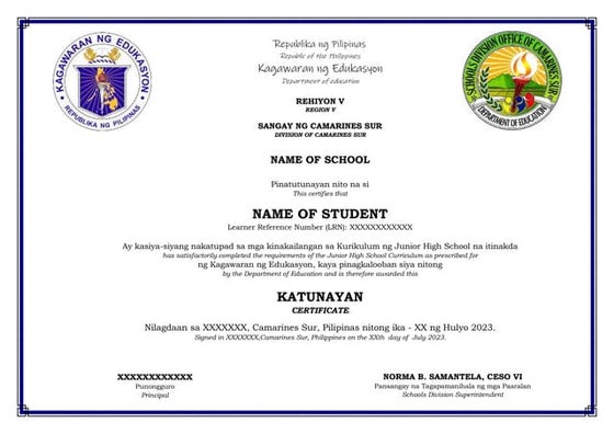 completion-SHS-template_ diploma094635.docx | Political Issues & policy ...