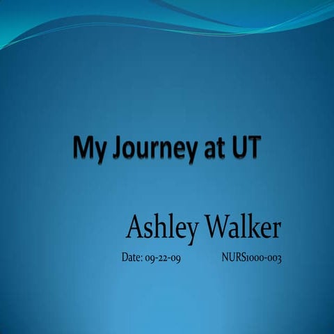 Template For Reflection On My Journey | PPTX