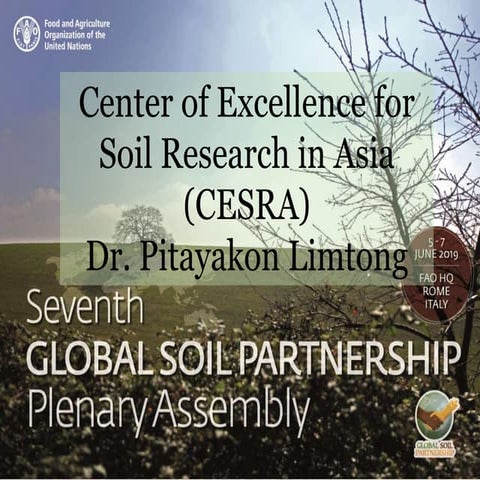 Centre of Excellence on Soil Research in Asia (CESRA) | PPTX | Business ...