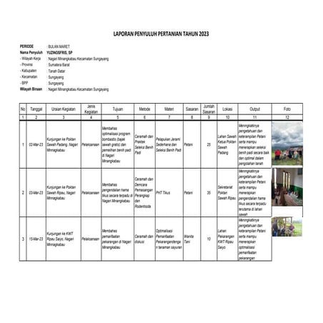 template_laporan_penyuluh .pdf
