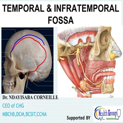 Temporal_and_infratemporal_fossa.ppt