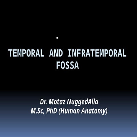 temporal and infratemporal fossa 16.pptx