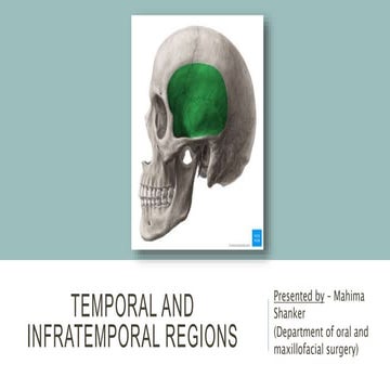Temporal and infratemporal regions | PPTX
