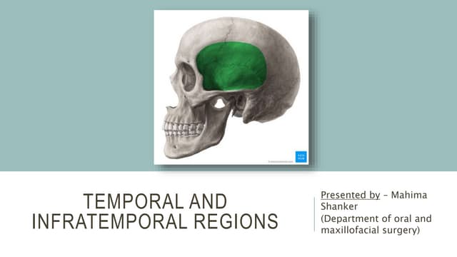 Anatomy of submental and submandibular triangles | PPTX