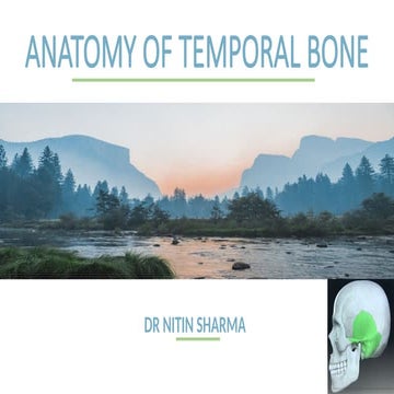 Anatomy of temporal bone | PPTX