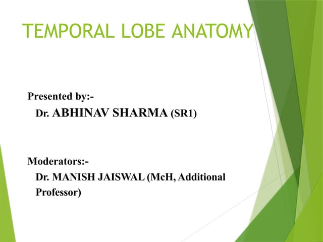 Insular lobe anatomy | PPTX | Brain and Nervous System Disorders ...