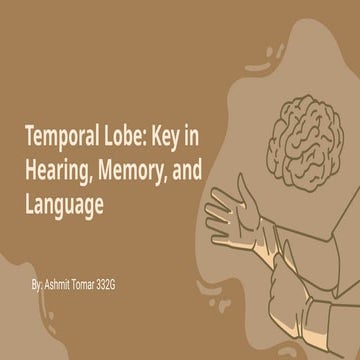 temporal lobe and its functions by ashmit.pptx