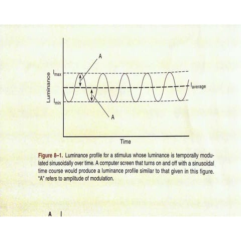 Temporal vision | PPTX