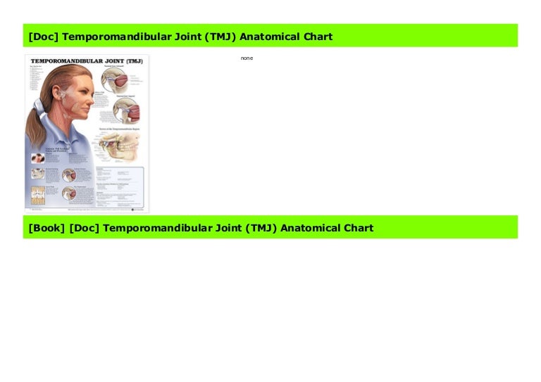 [Doc] Temporomandibular Joint (TMJ) Anatomical Chart