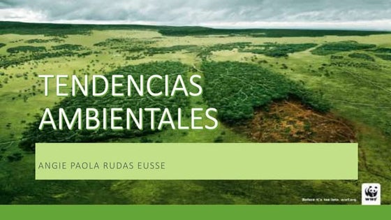 Letter of Reference -Sonera Oyj (Heli Partanen) | PDF