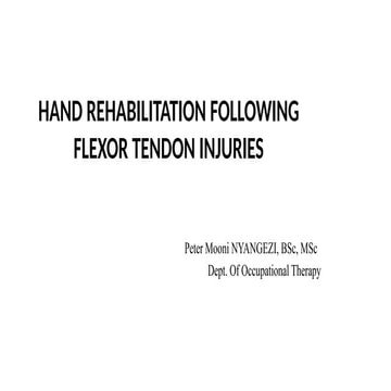Tendon Rehabilitation Pyramid | PDF