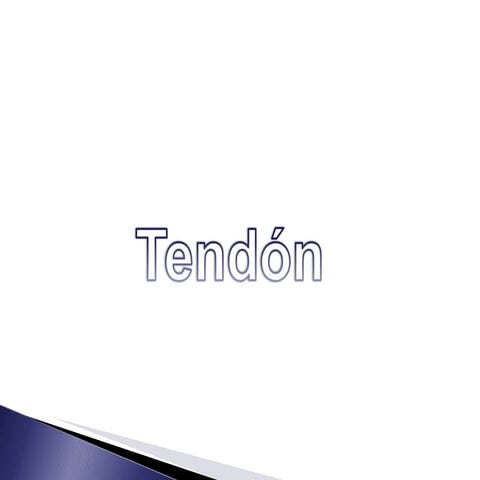 Tendon 3 | PPT